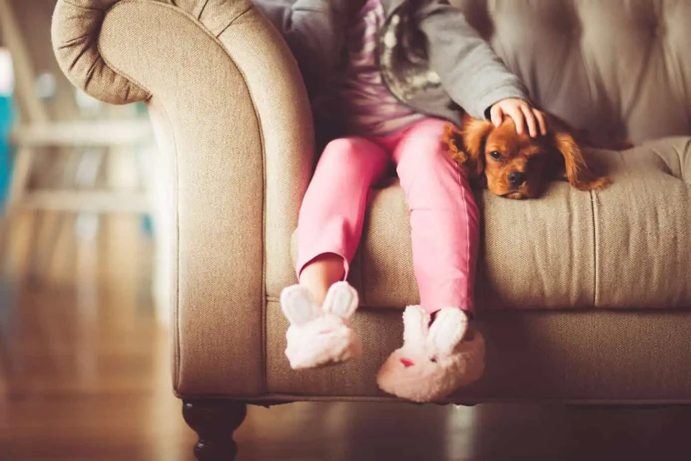 Common Tricks a Child Predator Uses: Telling Signs of a Child Predator